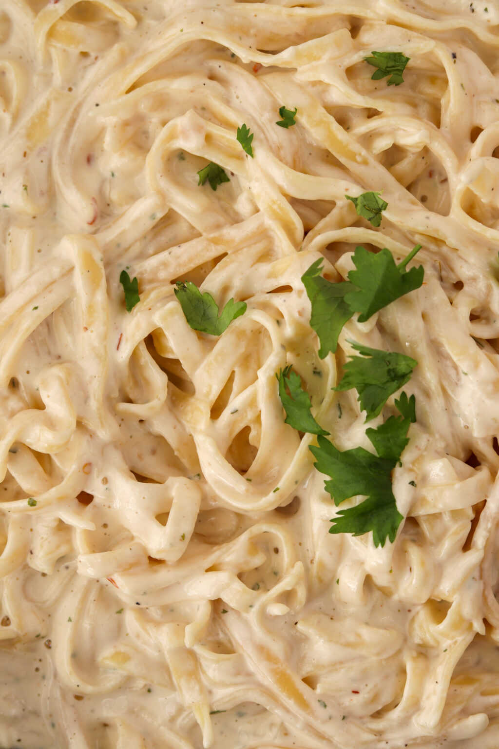 Creamy Fettuccine Alfredo Recipe | Sweet & Seasoned
