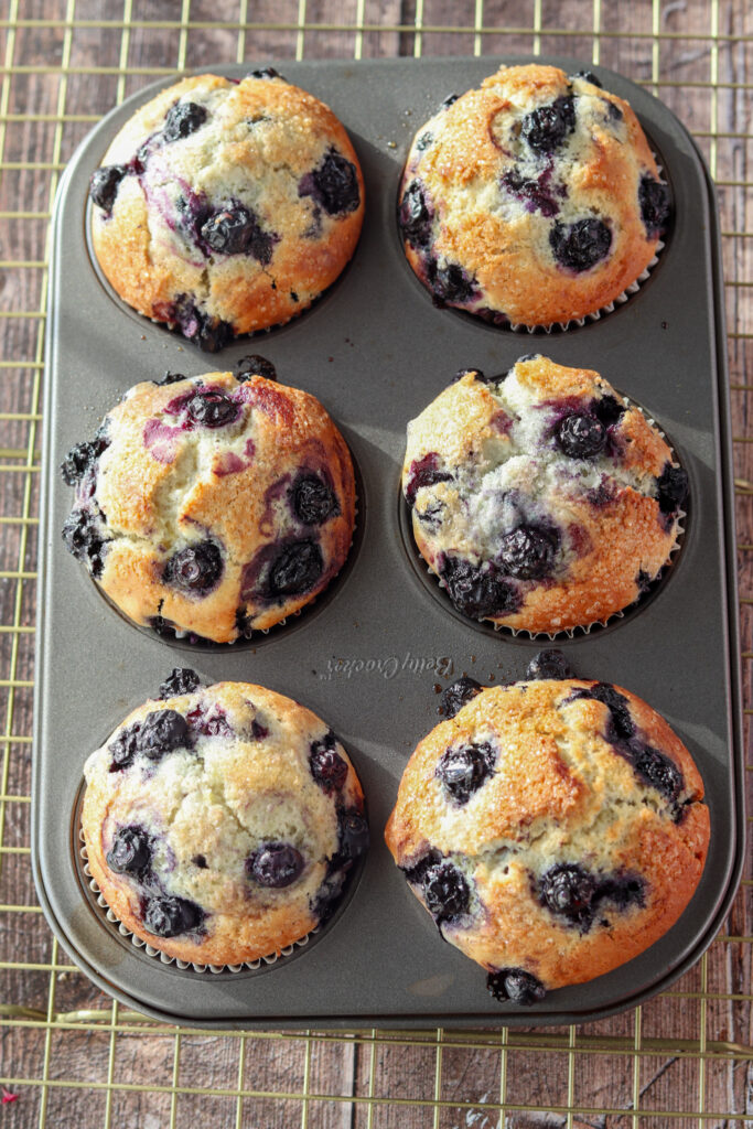 Small Batch Lemon Blueberry Muffins | Sweet & Seasoned