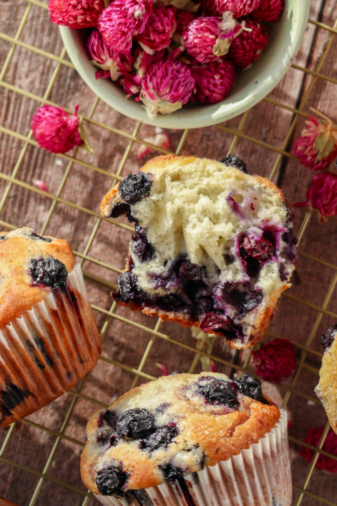 Small Batch Lemon Blueberry Muffins | Sweet & Seasoned